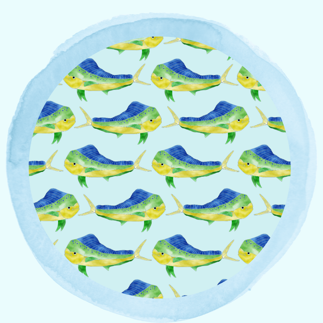 Dolphin Dance – TidalTots